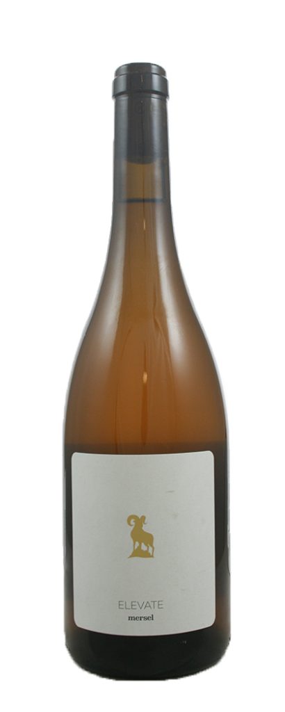 Doug Decants: Mersel Wine, Lebanon – Les Caves de Pyrene